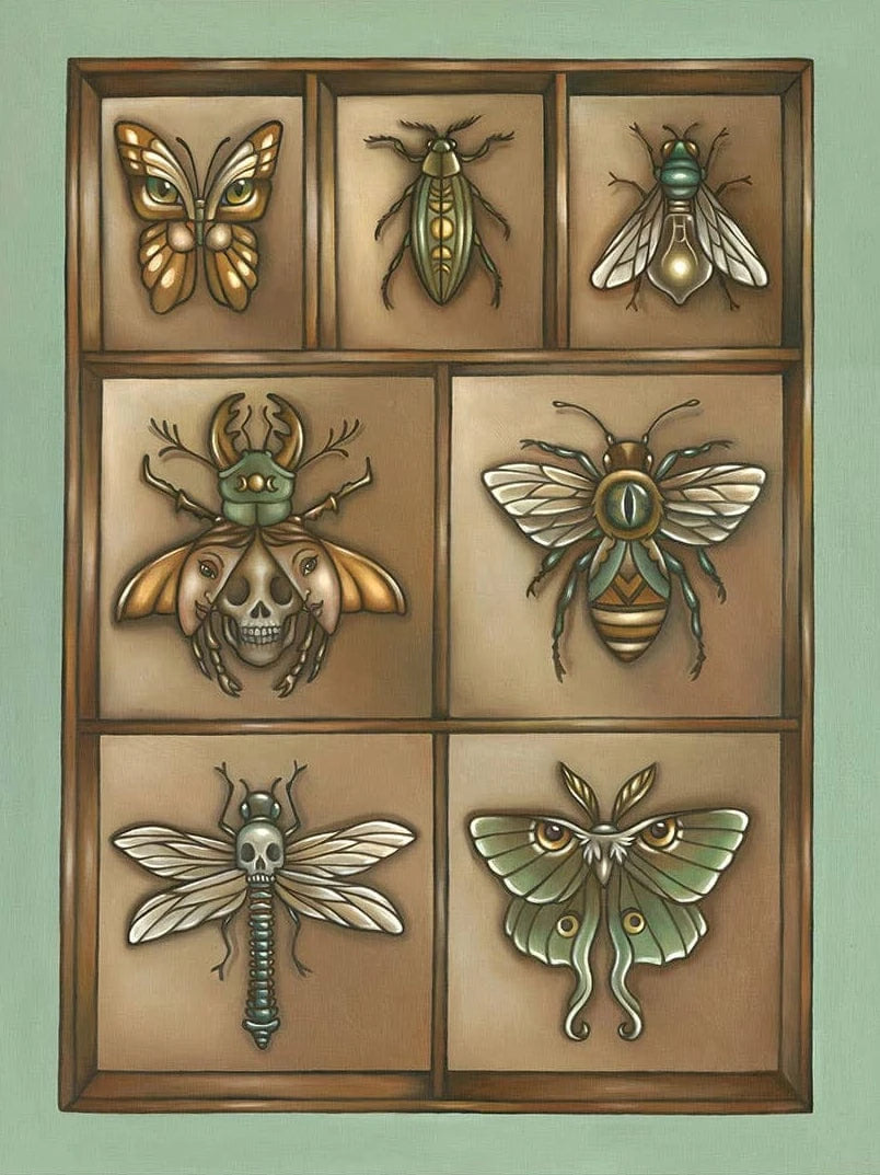 *Retiring* Insect Collection Art Print, 14" x 11" – Persephone's Hearth